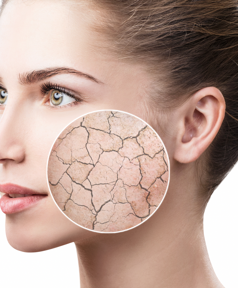 Here's Our Secret To Creating "Silky" Skincare That Produces Amazing R – Magnolia Skin Essentials